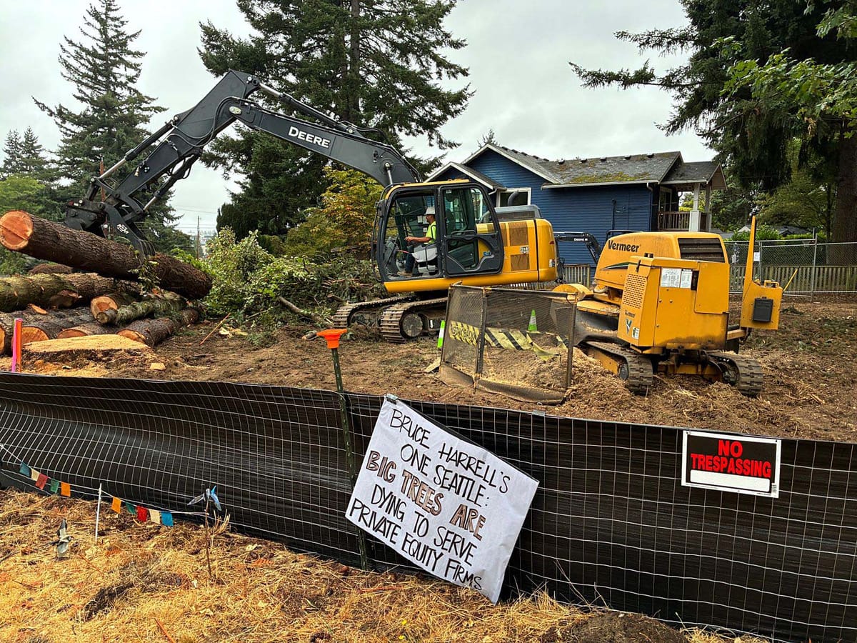 Seattle developers cutting trees faster under protection law